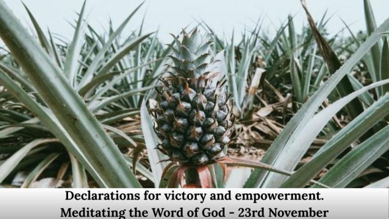 Declarations for Victory and Empowerment. - Growing into the image and ...