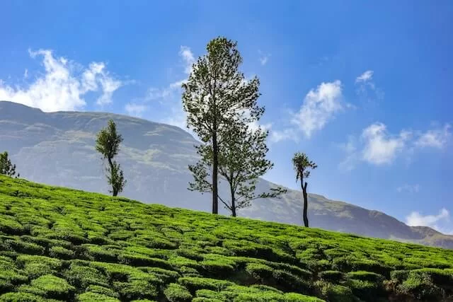 Good ground that yields 100 fold - Grow into the image and likeness of God