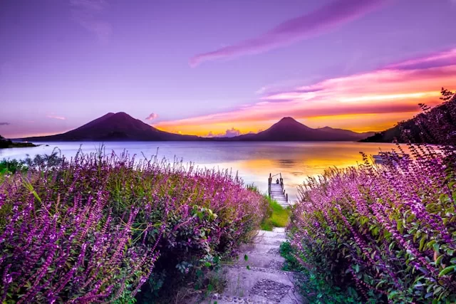 Declarations: Organised & Systematic Life